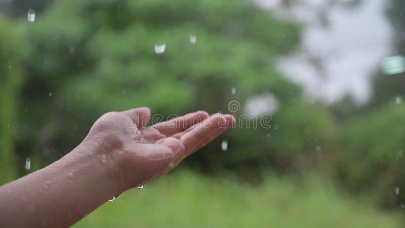 Raining Drops of Water Flowing into the Hands Stock Footage - Video of ...