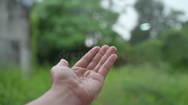 Raining Drops of Water Flowing into the Hands Stock Video - Video of ...