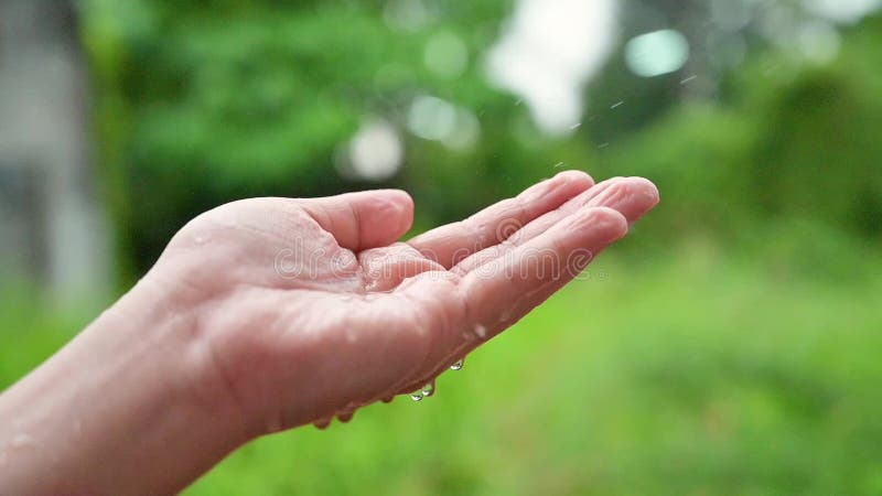 Raining Drops of Water Flowing into the Hands Hd Slow 120 Frames Stock ...