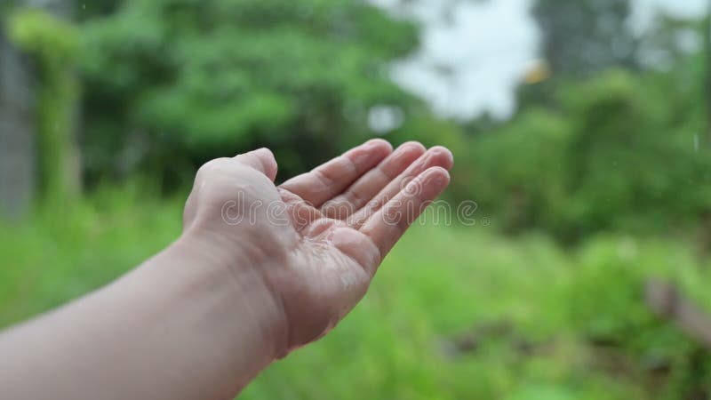 Raining Drops of Water Flowing into the Hands Stock Video - Video of ...