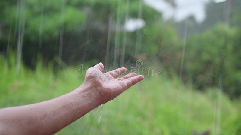 Raining Drops of Water Flowing into the Hands Hd Slow 120 Frames Stock ...