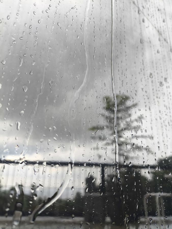 Raining at Evening with Cloud and Green Tree Stock Photo - Image of ...