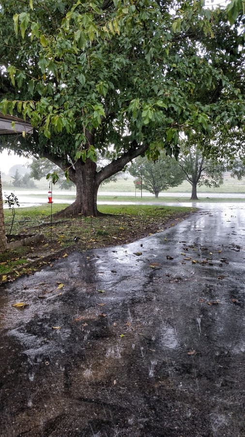 Raining on the Farm in East Texas Stock Photo - Image of condensate ...