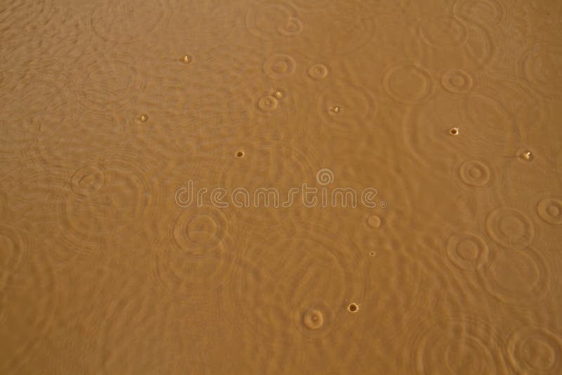 Raining on a Puddle of Muddy Water Stock Image - Image of dirt ...