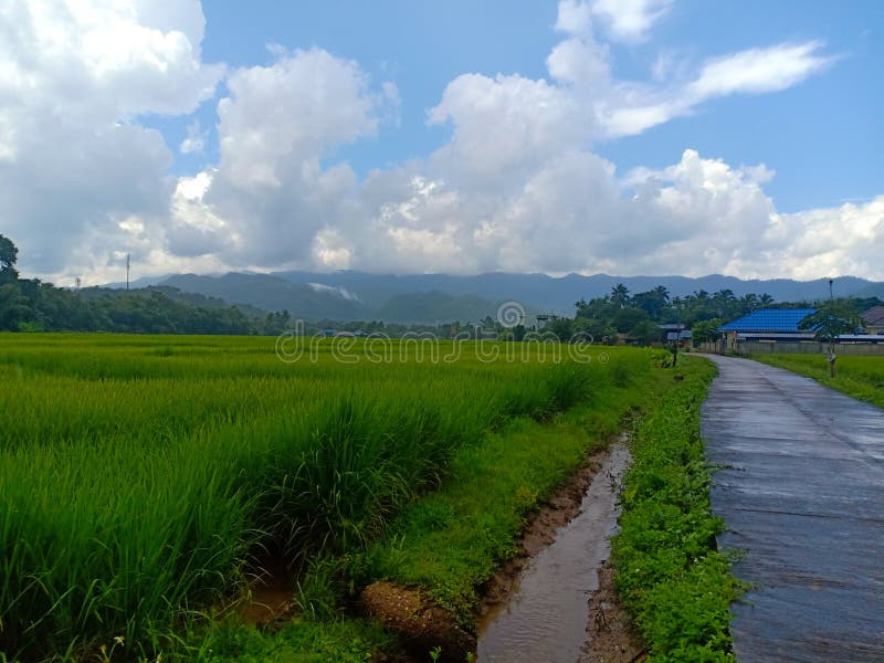 Raining stock image. Image of cloud, raining, nature - 130428055