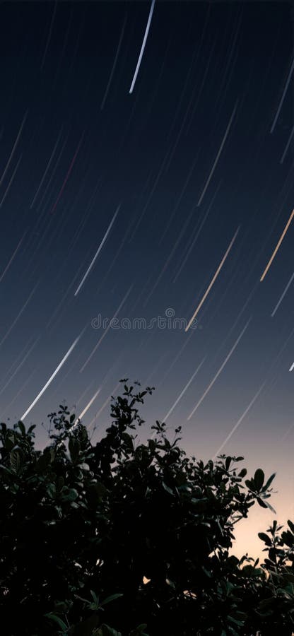 Raining Stars Under the Tree Space Stock Photo - Image of space, stars ...