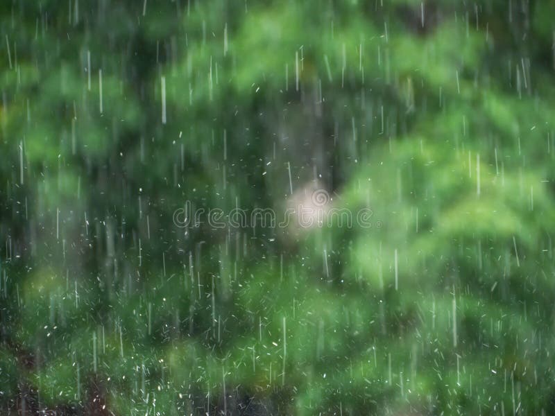 Raining and Tree Background Stock Photo - Image of environment, ripple ...