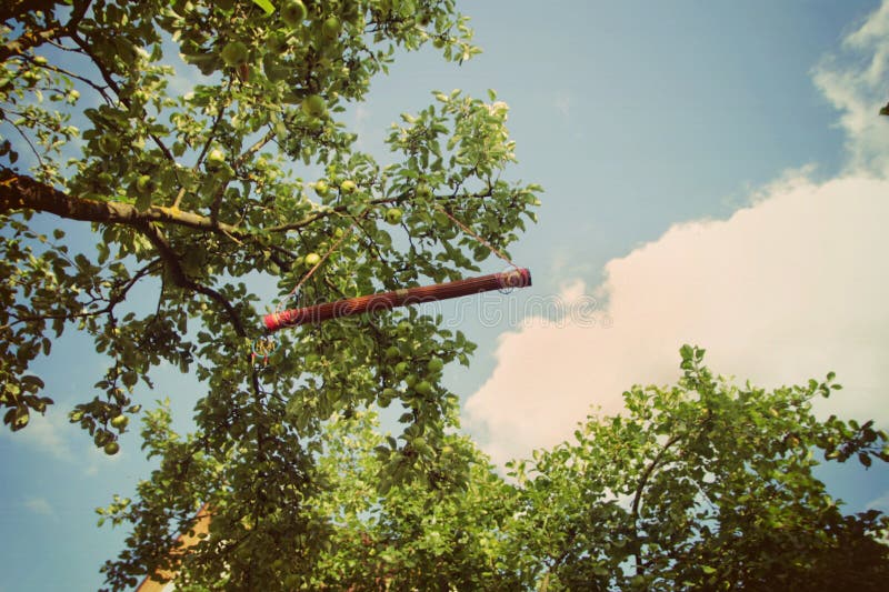 Rainstick stock photo. Image of sound, rainstick, natural - 97050080