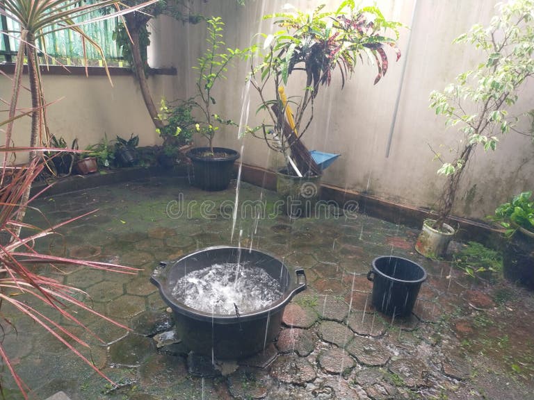 Rainwater stock image. Image of unique, collect, plastic - 318470813