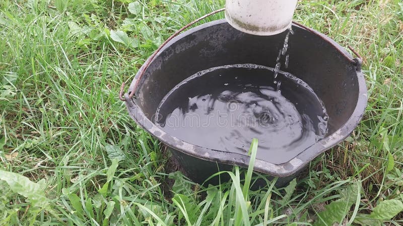 Rainwater Dripping from a Drain into a Bucket Stock Footage - Video of ...