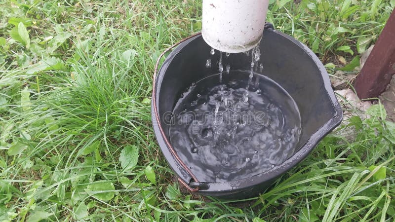 Rainwater Dripping from a Drain into a Bucket Stock Footage - Video of ...