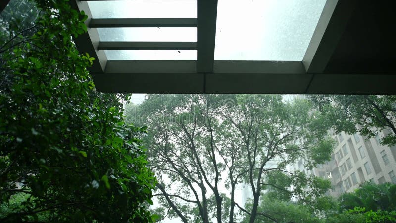 Rainwater Dripping from the Eaves in the Rain Stock Footage - Video of ...