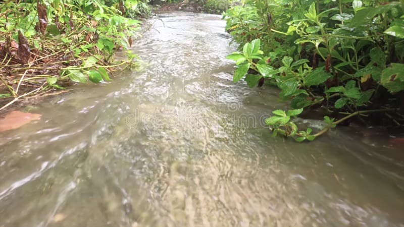 Rainwater Flowing Down the Path Stock Footage - Video of equipment ...