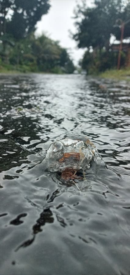 Rainwater flows stock photo. Image of rain, stream, sluice - 211471182