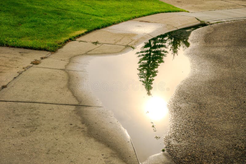 Rainwater Puddle with with Reflection of the Sun Stock Photo - Image of ...