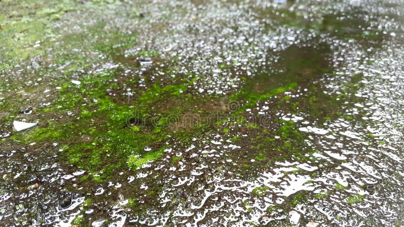 Rainwater Puddles Behind the House Stock Image - Image of rainwater ...