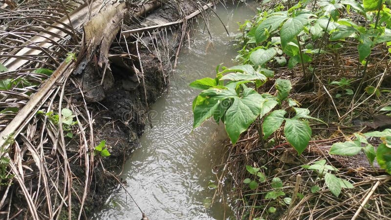 Dirty Drainage System Behind the Modern Residential Building. Stock ...