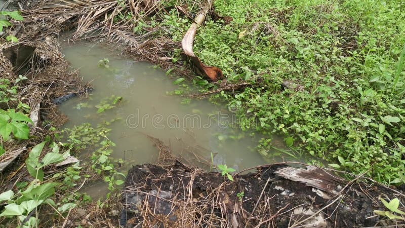 Dirty Drainage System Behind the Modern Residential Building. Stock ...