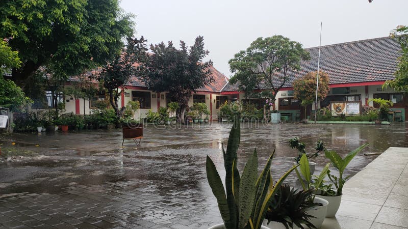 Rainwater Wet Building Tree Ground Stock Image - Image of tree, village ...