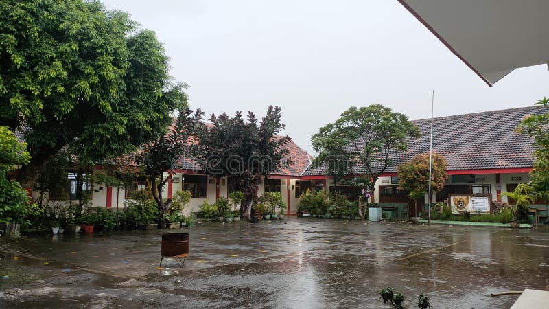 Rainwater Wet Building Tree Ground Stock Photo - Image of ground, cool ...