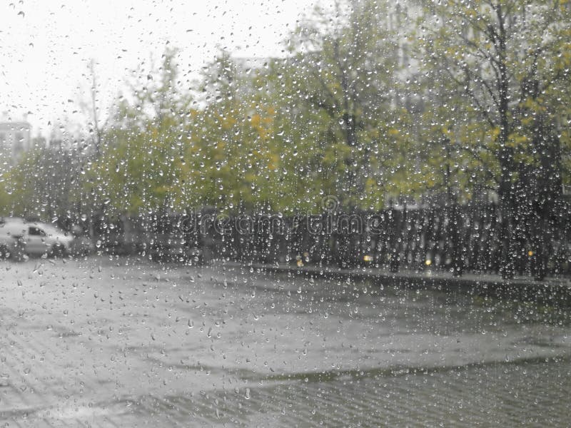 Fall Wallpapers Windows 11 Stock Photos - Free & Royalty-Free Stock ...