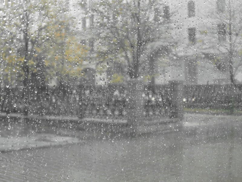 Fall Wallpapers Windows 11 Stock Photos - Free & Royalty-Free Stock ...