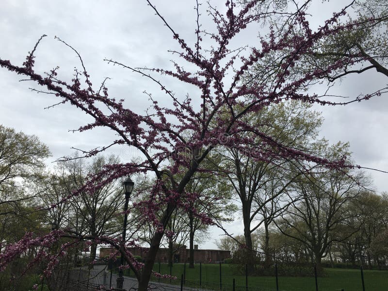 Rainy and Cloudy Day in Spring in Battery Park in Manhattan, New York ...