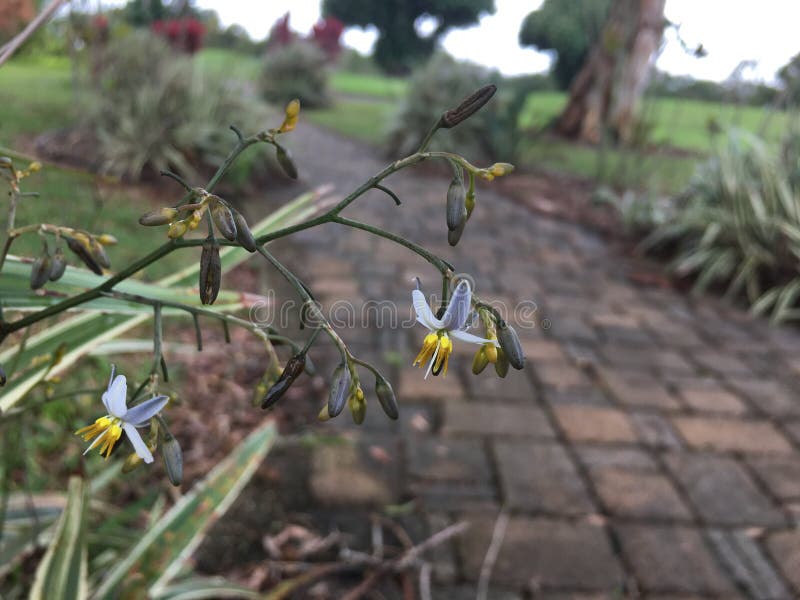 Rainy and Cloudy Day in Spring on Kauai Island, Hawaii. Stock Image ...