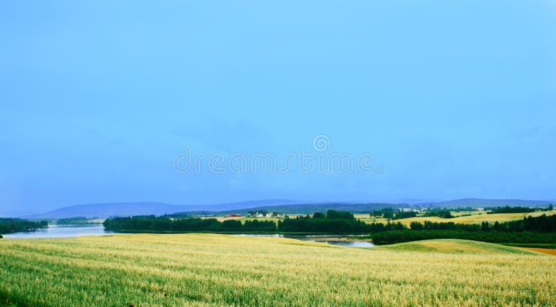 Rainy Countryside Landscape Stock Image - Image of food, alcohol: 1398771