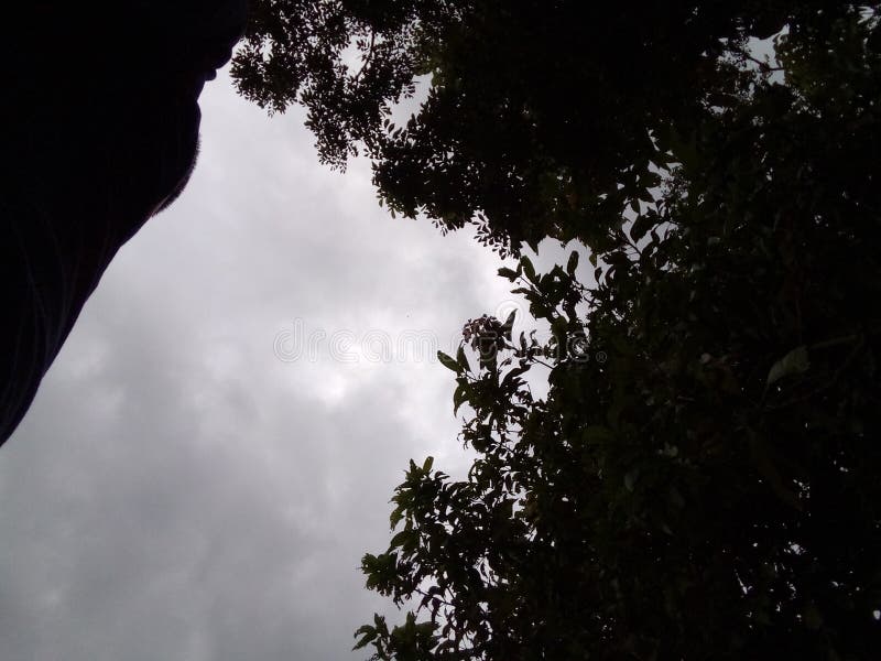 In a Rainy Day.. stock image. Image of environment, rainy - 162725779