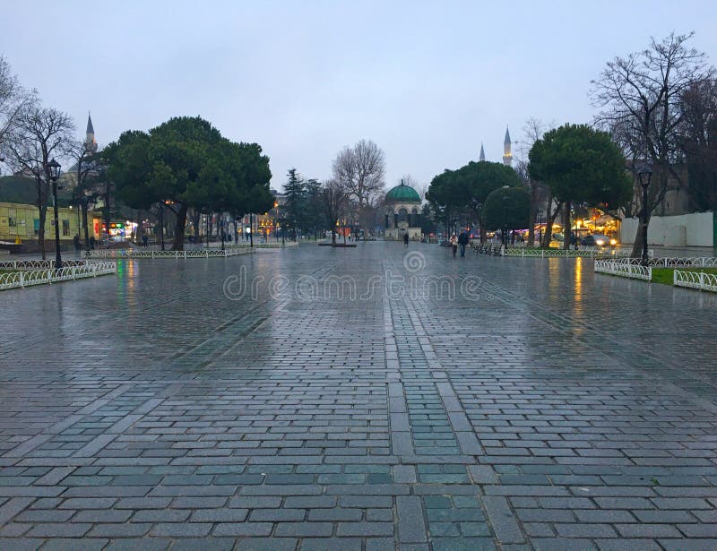 A Rainy Day in a City Park with Trees and Wet Pavement Editorial Photo ...