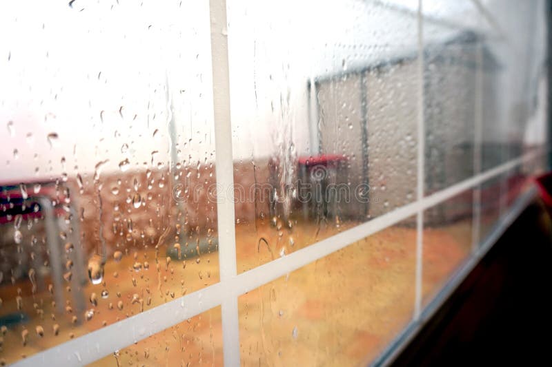 Rainy day on winter stock photo. Image of nature, outside - 181199860