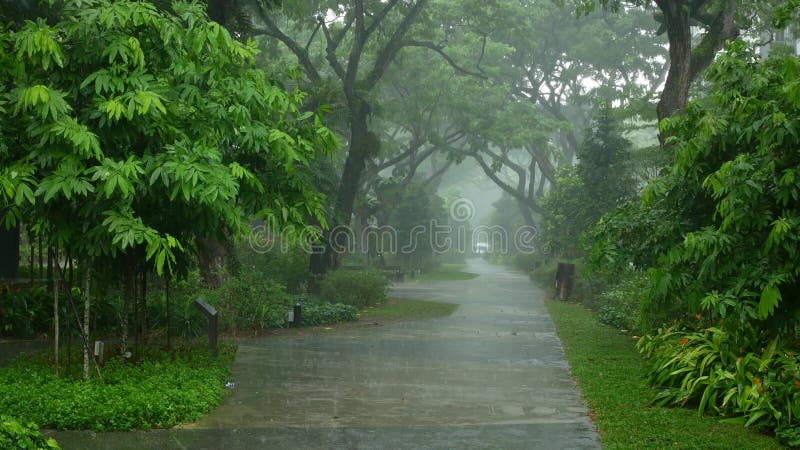Rainy Day in a Empty Park in Signapore Stock Footage - Video of climate ...