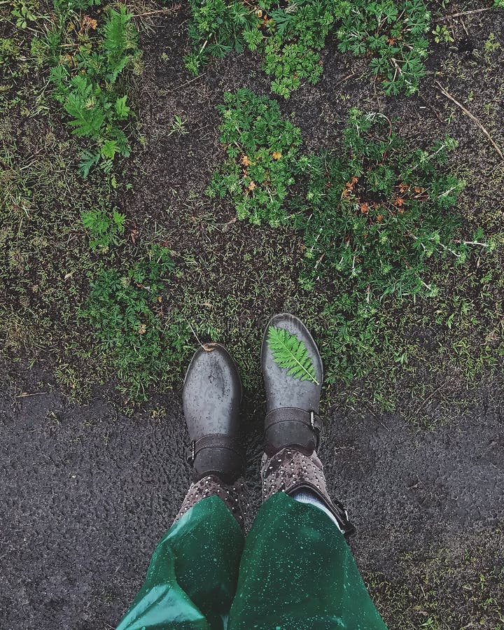 Rainy day stock photo. Image of rainy, green, breath - 147138792