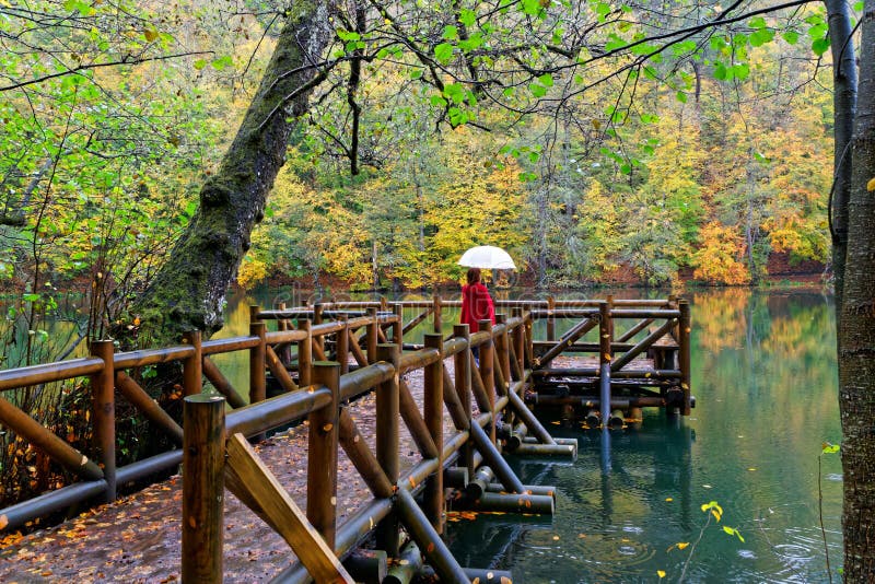 Rainy day editorial image. Image of nature, autumnal - 103948210