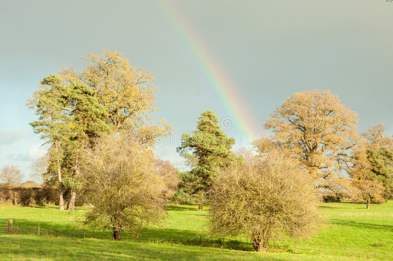 Rainbow Over the Tree Tops. Stock Photo - Image of grass, kingdom ...