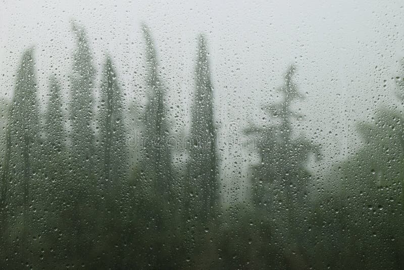 Rainy day window & trees stock photo. Image of droplet - 5472870