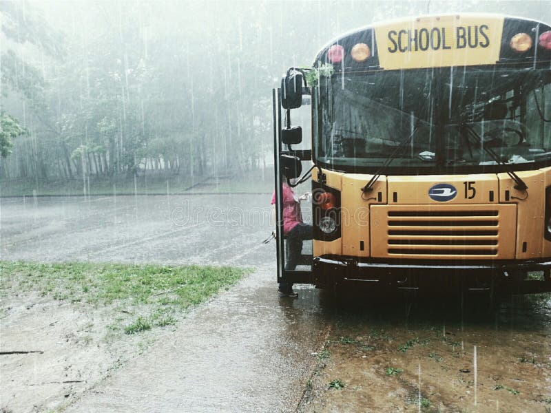 Caught Rain Stock Photos - Download 848 Royalty Free Photos