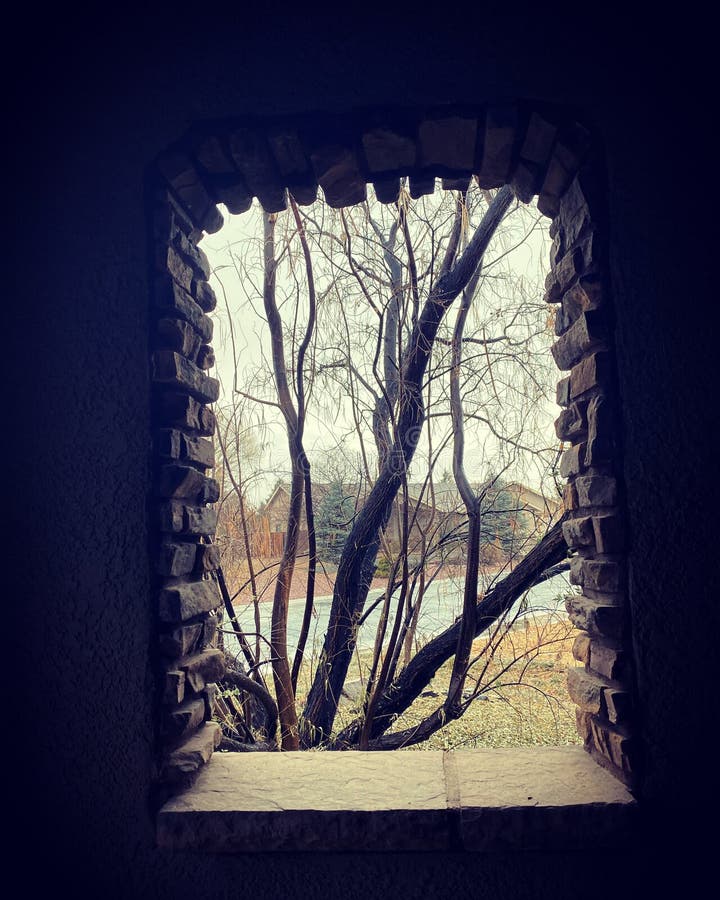 Rainy day stock image. Image of grey, stone, tree, frame - 208372039
