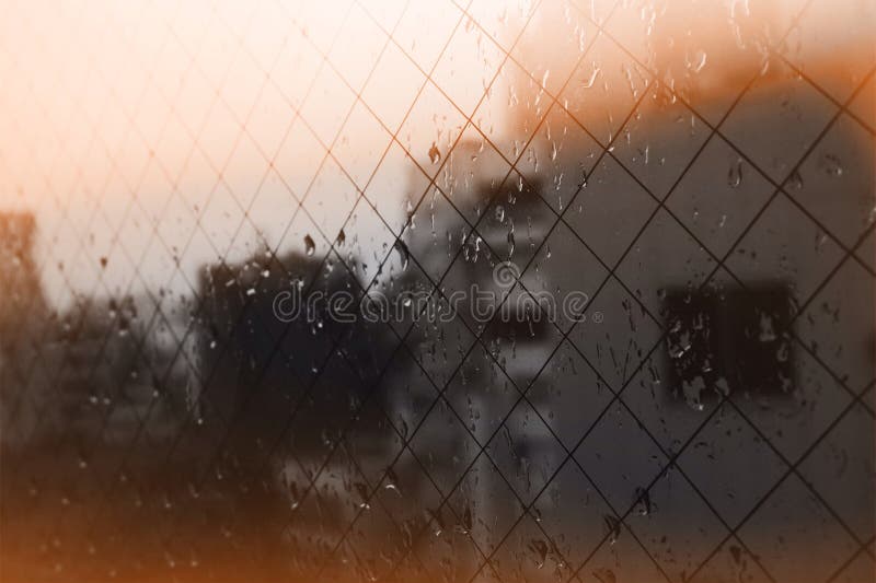 534 Tokyo Rainy Season Stock Photos - Free & Royalty-Free Stock Photos ...