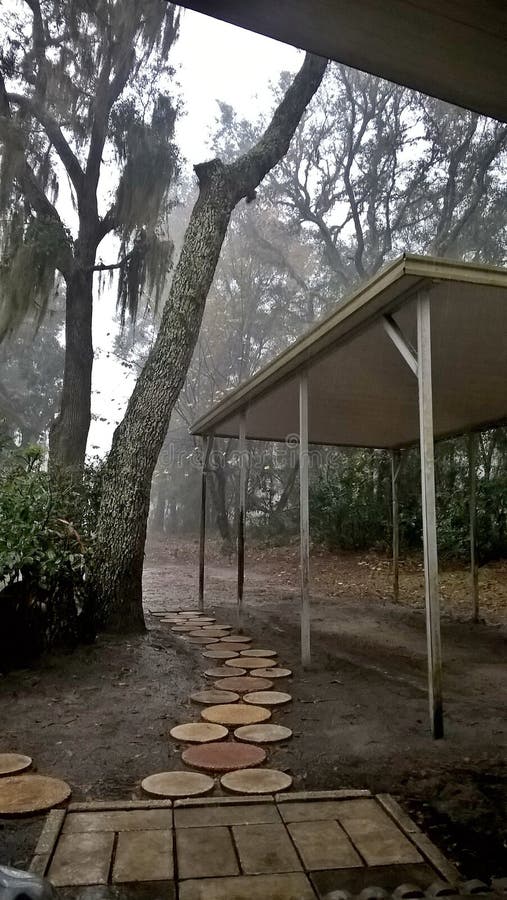 Rainy pathways stock photo. Image of pathways, nature - 96090382