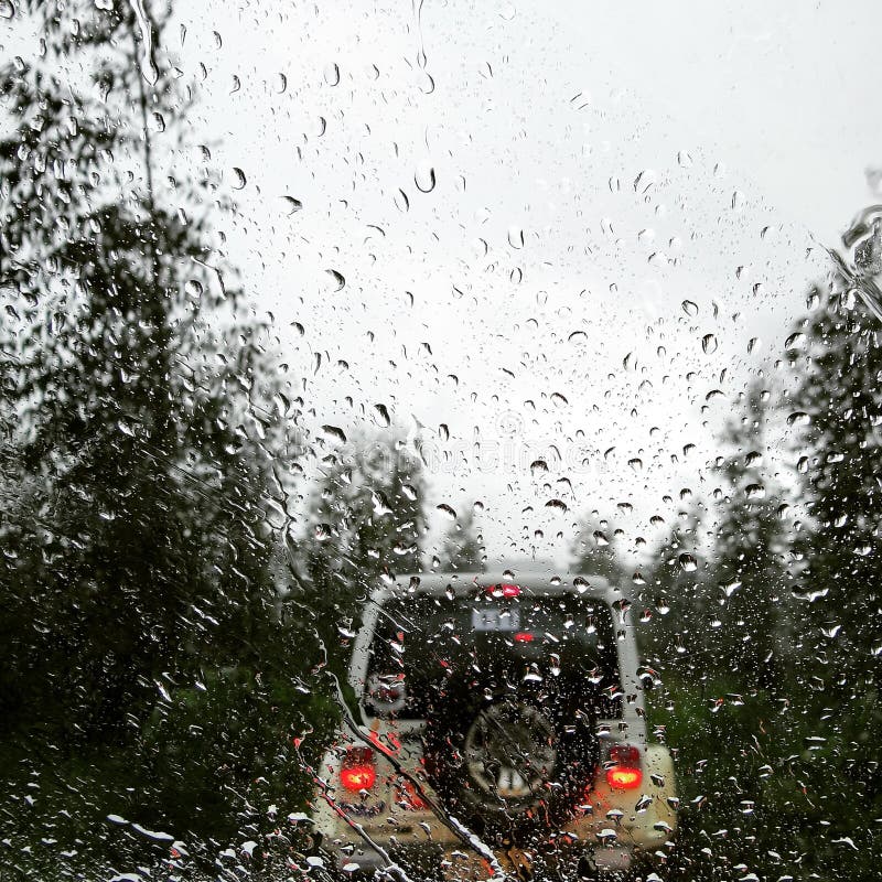 Rainy drive in the woods stock image. Image of roadtrip - 101428975