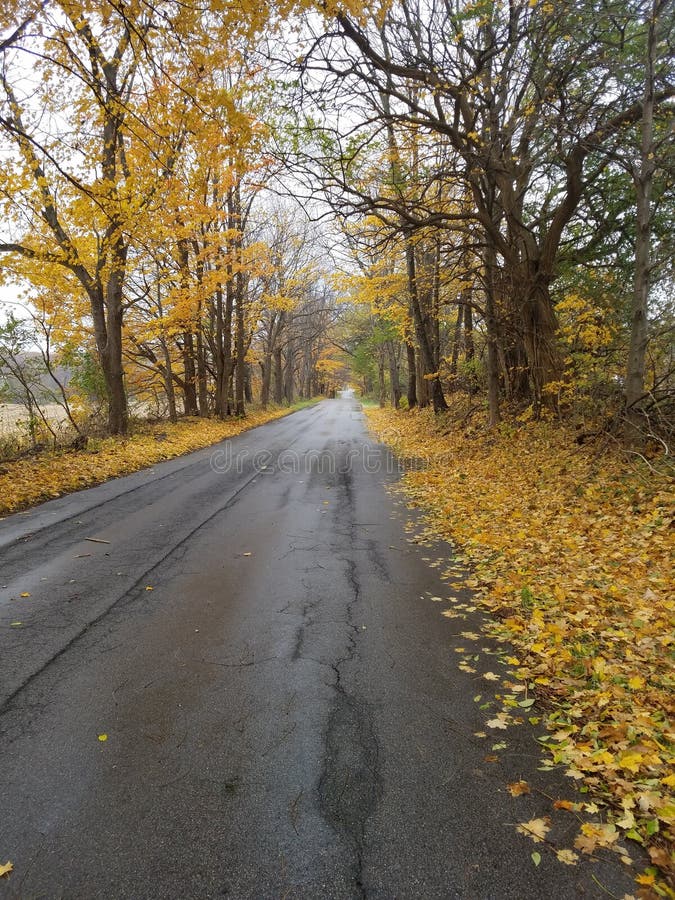 Rainy fall day stock photo. Image of country, northwest - 130720246