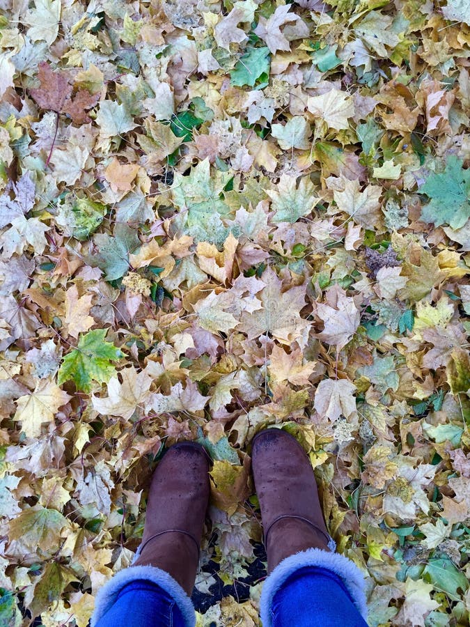 Rainy Fall Day stock image. Image of fallen, leaves, boots - 62010463