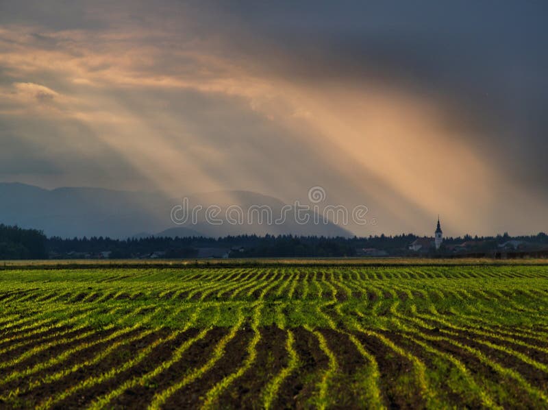 Rainy field stock photo. Image of mountain, village, organic - 14609982