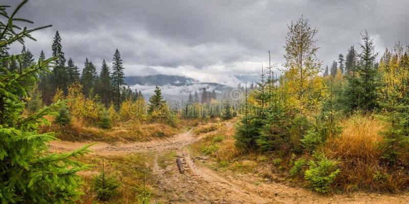 Rainy Landscape with Forest Stock Image - Image of leaf, autumn: 54503549