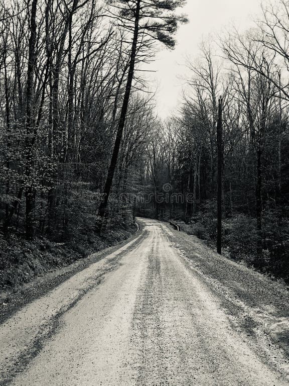 Rainy May Morning stock photo. Image of area, landscape - 246863518