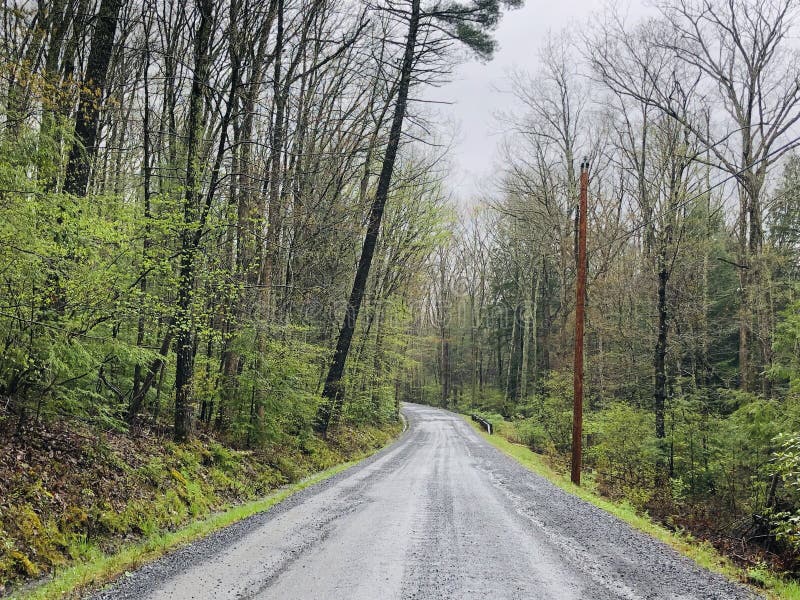 Rainy May Morning stock image. Image of perez, ducks - 246863521