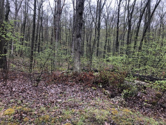 Rainy May Morning stock image. Image of located, landscape - 246863527