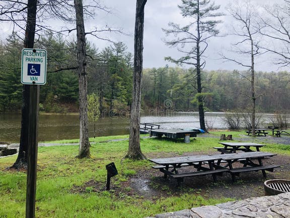 Rainy May Morning stock photo. Image of long, bike, denning - 246863528